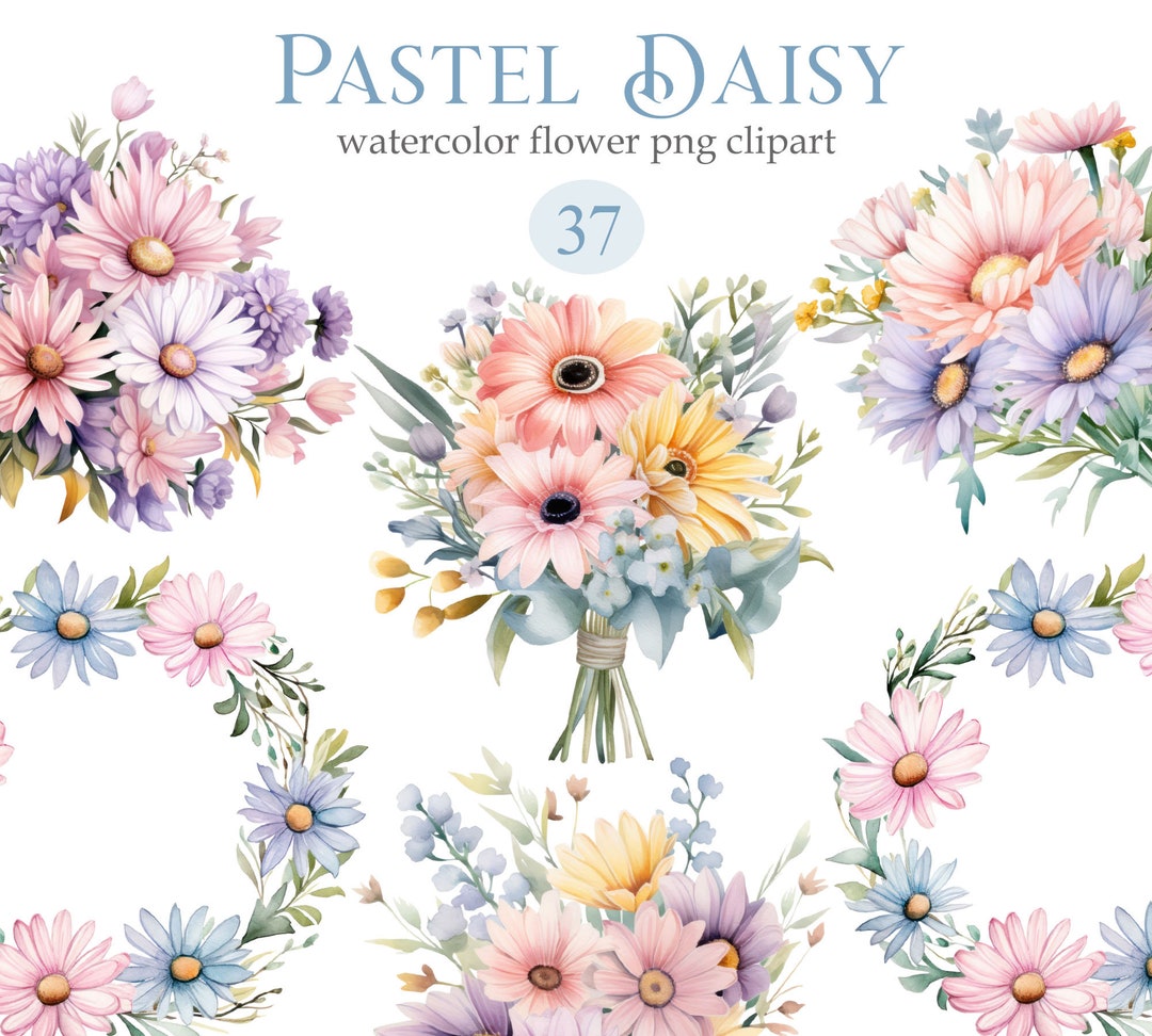 Pastel Daisy Watercolor Clipart, Daisy PNG Bundle, Daisy Bouquet Wreath ...