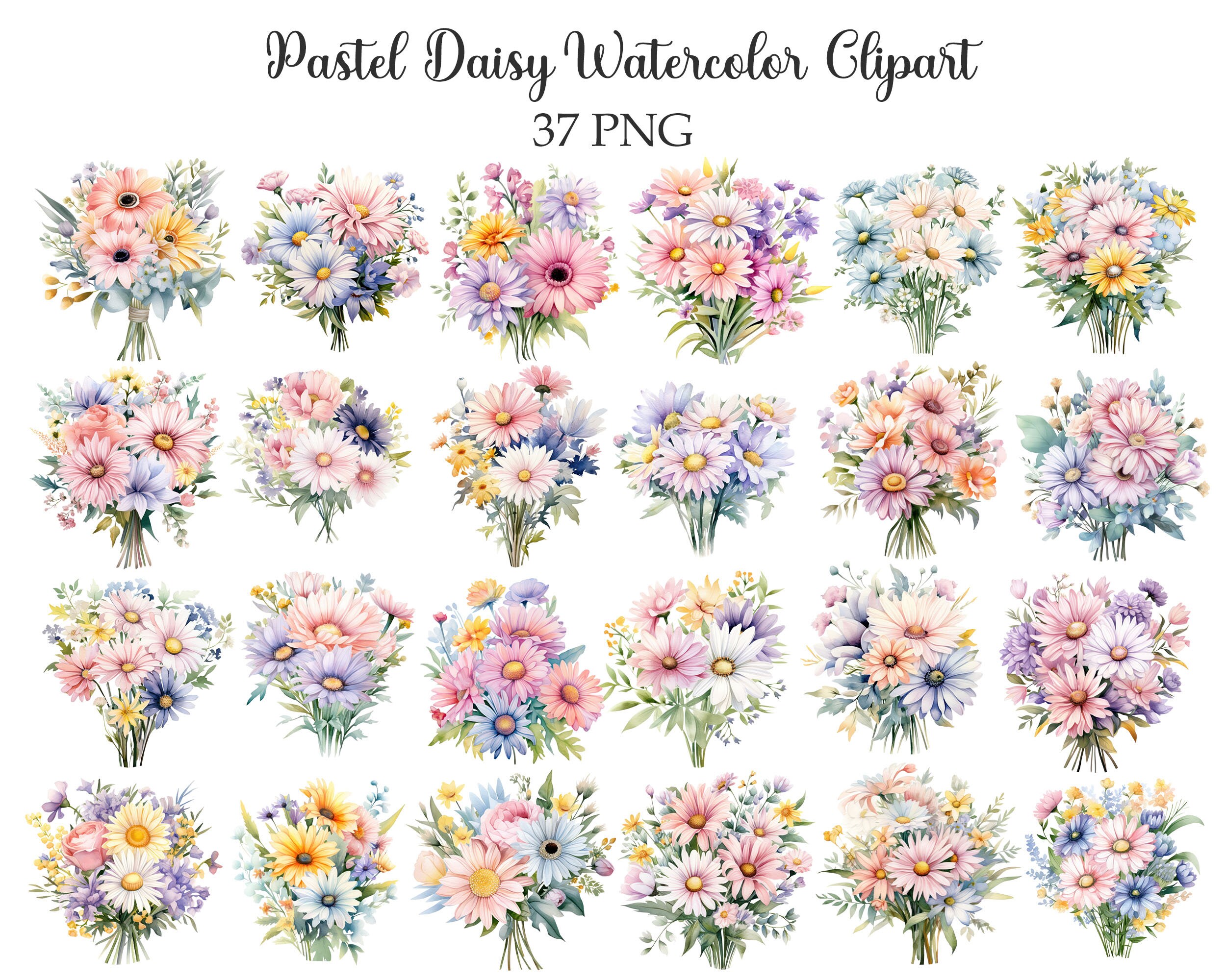 Pastel Daisy Watercolor Clipart, Daisy PNG Bundle, Daisy Bouquet Wreath ...