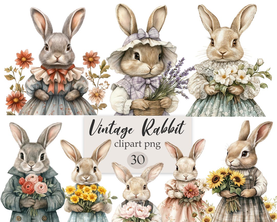 Vintage Rabbit Clipart, Watercolor Bunny PNG, Digital Download - Etsy