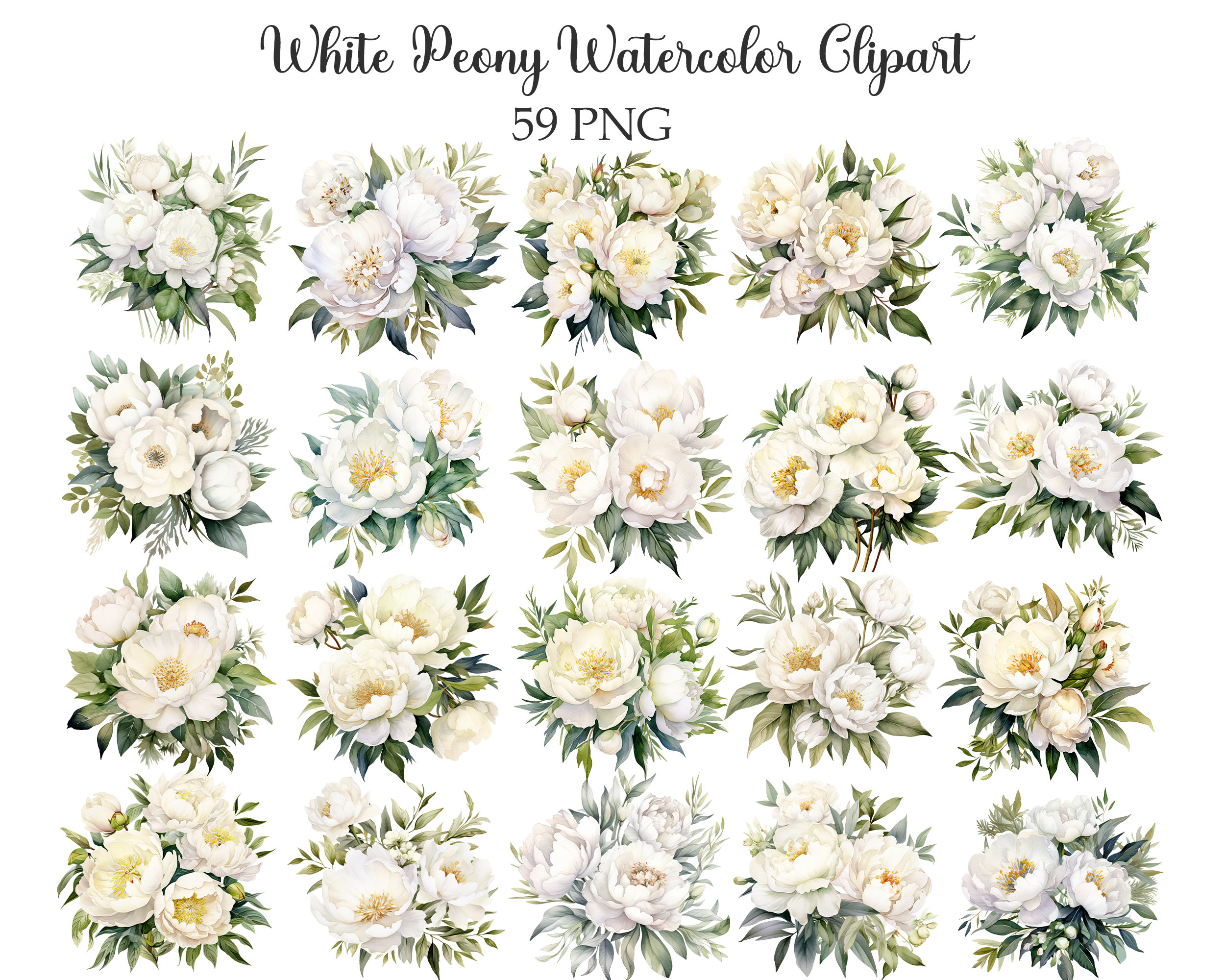 White Peony Clipart Bundle, Watercolor White Flower Clipart, Peony PNG ...