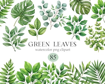Green Leaves PNG, Watercolor Leaf Border Clipart, Tropical Leaves ...