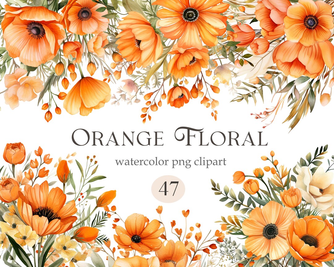 Orange Floral PNG, Watercolor Orange Flower Clipart Bundle, Bouquet ...