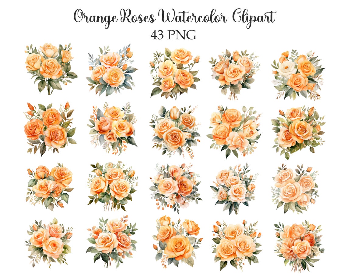 Orange Rose PNG Clipart, Watercolor Orange Rose Clipart Bundle, Rose ...