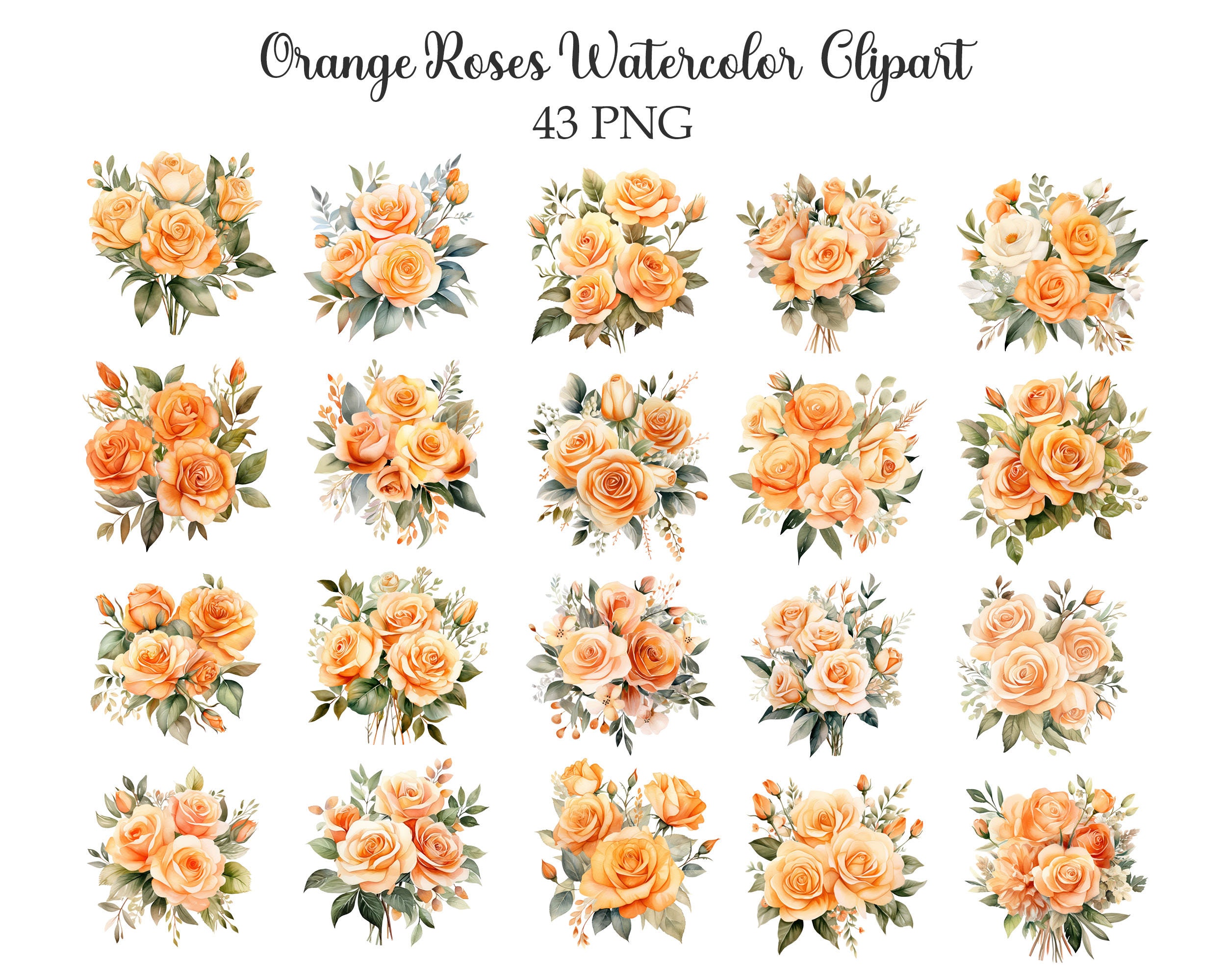 Orange Rose PNG Clipart, Watercolor Orange Rose Clipart Bundle, Rose ...
