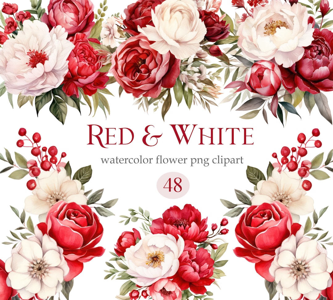 Red White Flower PNG Clipart, Watercolor Red Floral Clipart Bundle ...