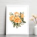 Orange Rose PNG Clipart, Watercolor Orange Rose Clipart Bundle, Rose ...