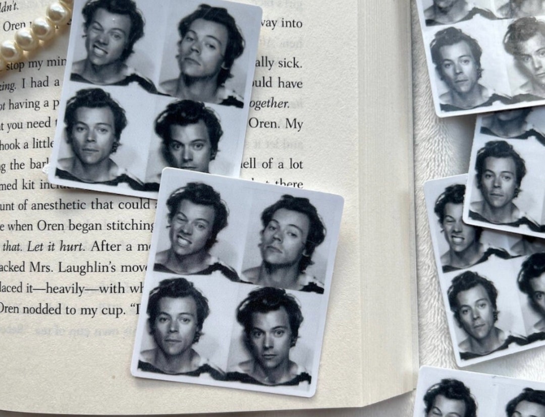 Harry Styles Inspired Photobooth Sticker - Etsy