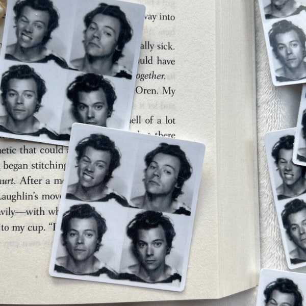 Harry Styles Photo Sticker - Etsy