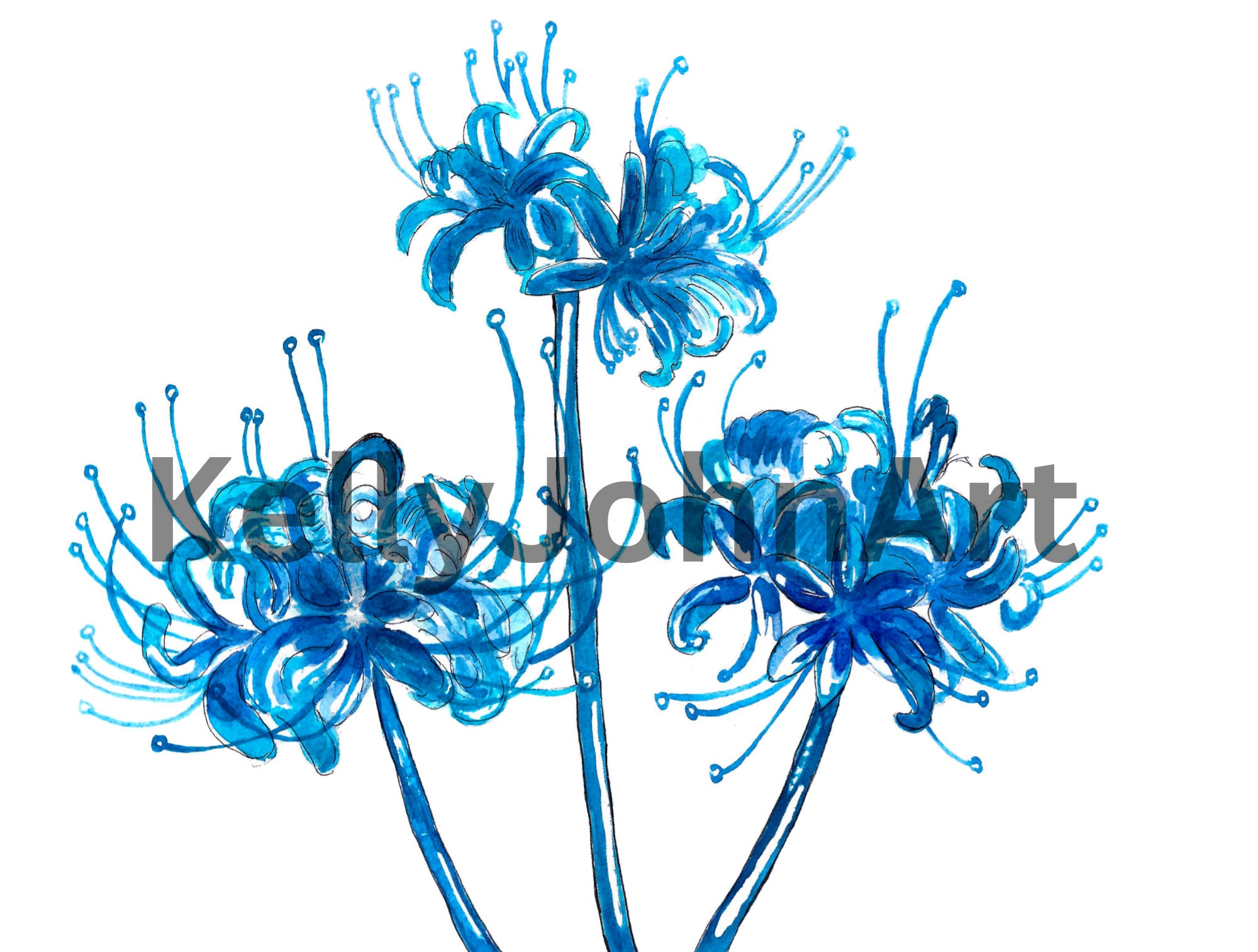 Blue Spider Lily Art Print Etsy