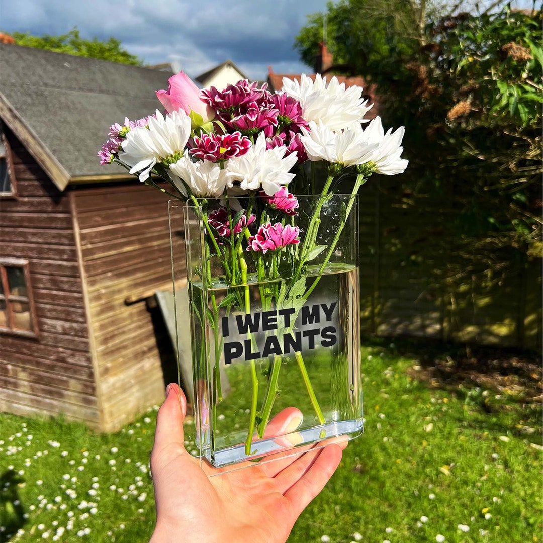 Acrylic Bookshelf Flower Vase, I WET MY PLANTS Dad Joke Funny Book Vase ...
