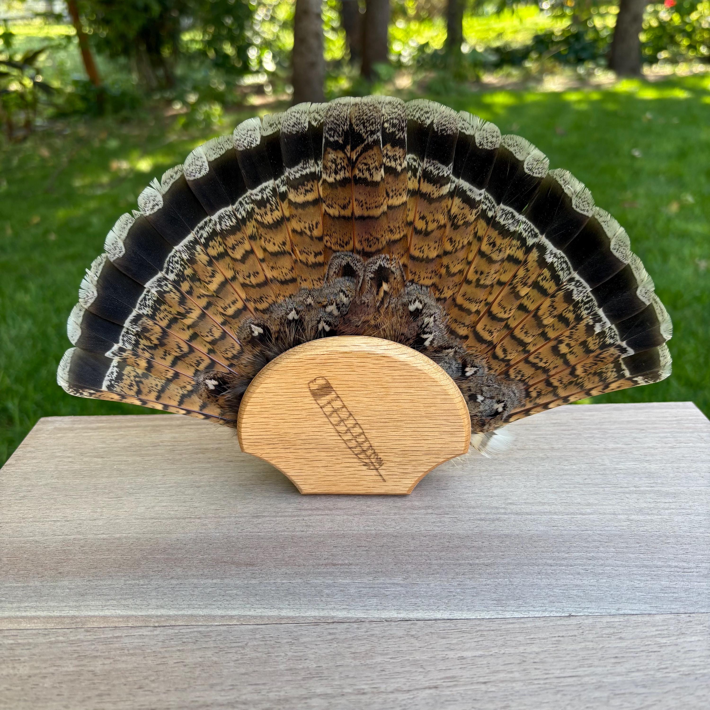 Grouse Tail Fan Plaque, Light Oak - Etsy