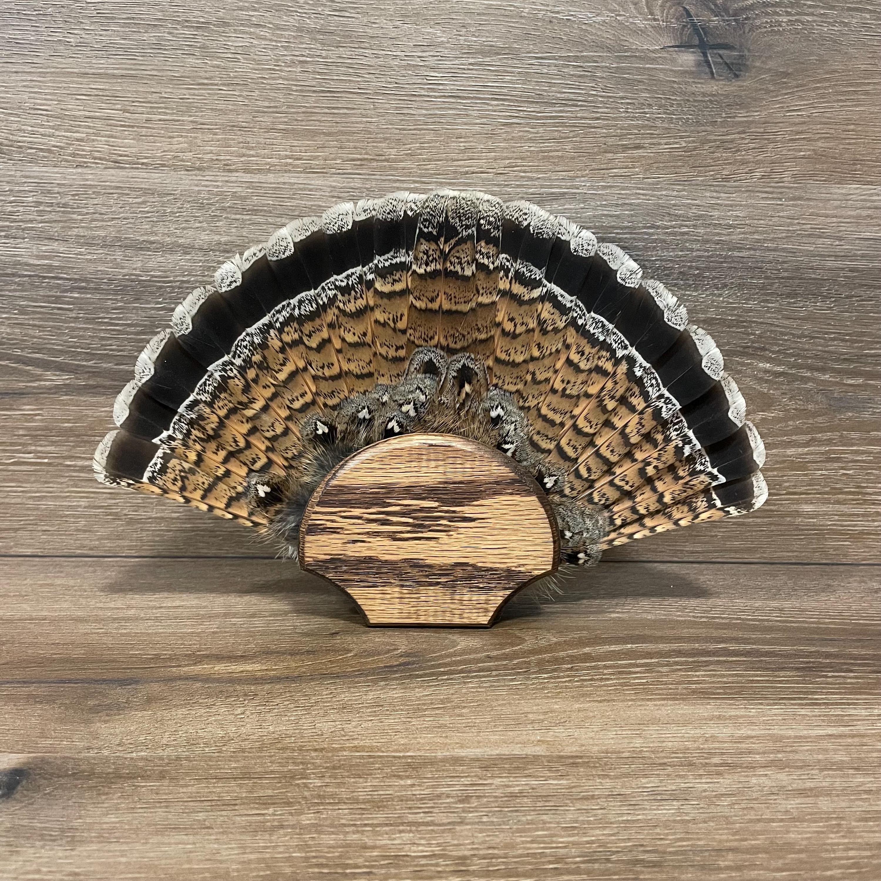 Grouse Tail Fan Plaque, Dark Oak - Etsy