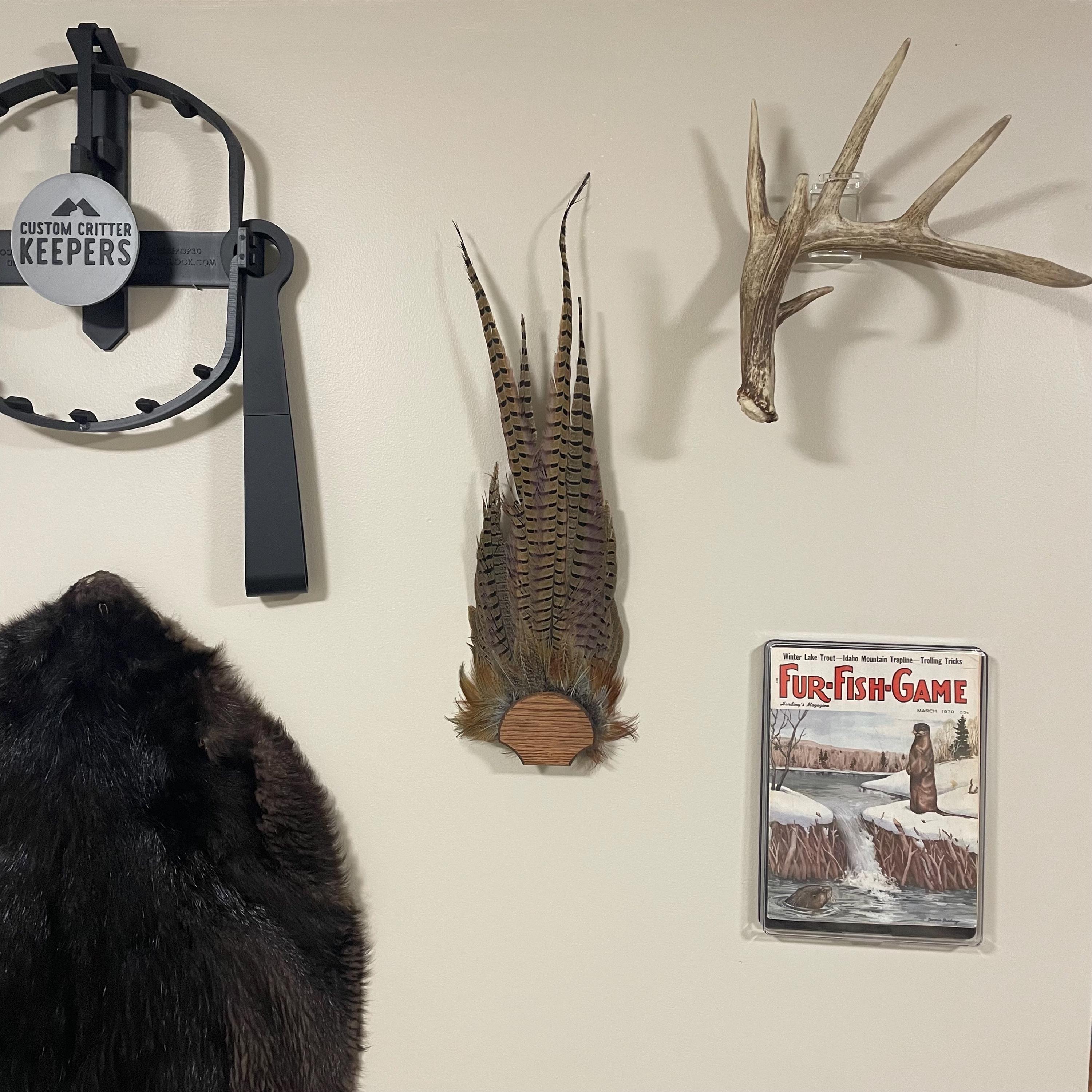 Grouse Tail Fan Plaque, Dark Oak - Etsy