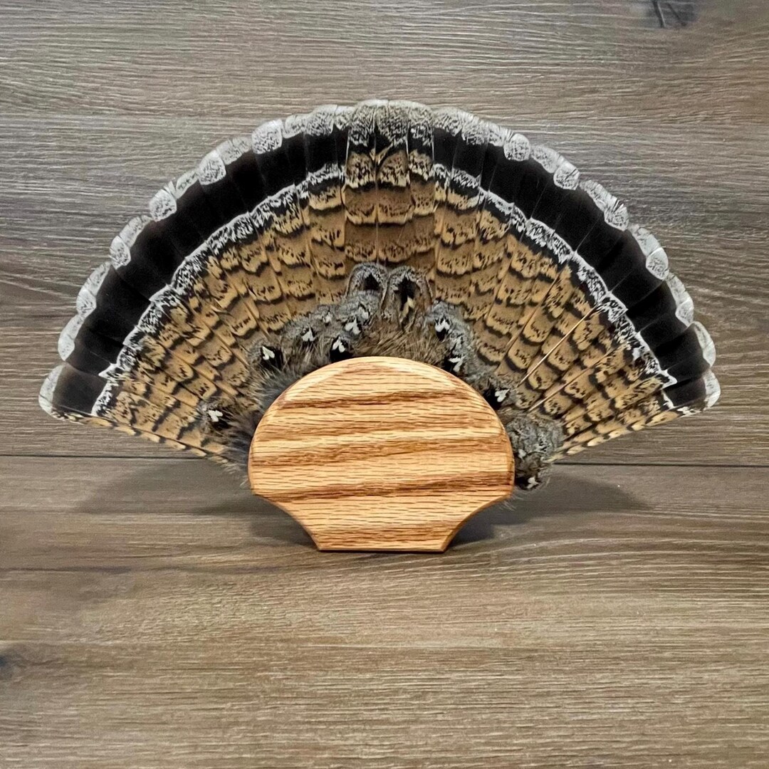 Grouse Tail Fan Plaque, Light Oak - Etsy