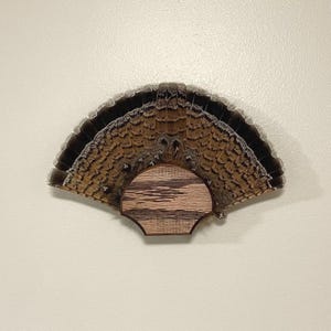 Grouse Tail Fan Plaque, Dark Oak - Etsy