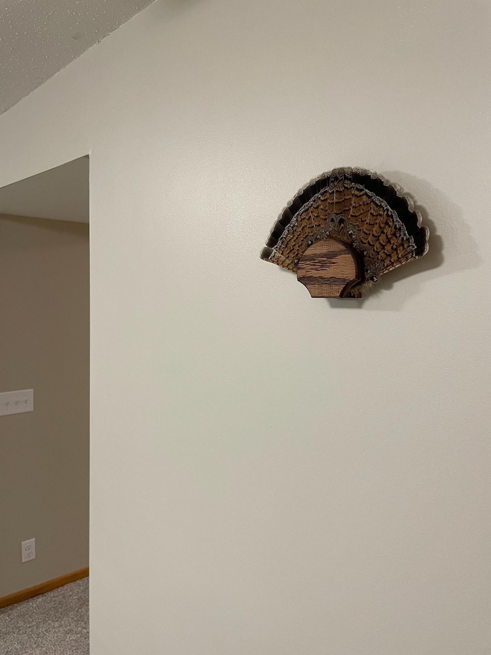 Grouse Tail Fan Plaque, Dark Oak - Etsy