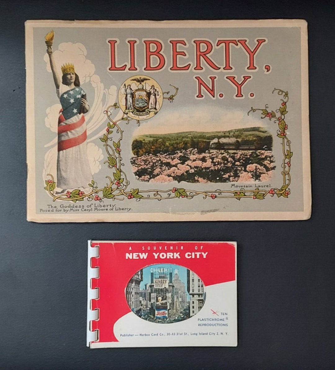 1917 Liberty New York Photo Booklet & NY City Ten Plastichrome - Etsy