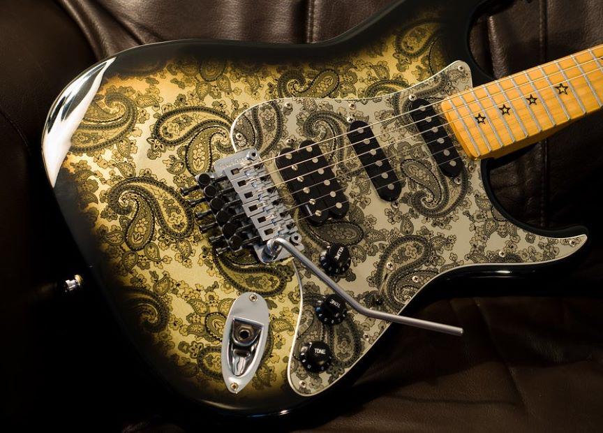 Clear Strat Pickguard H/S/S (includes Back Plate) - Etsy