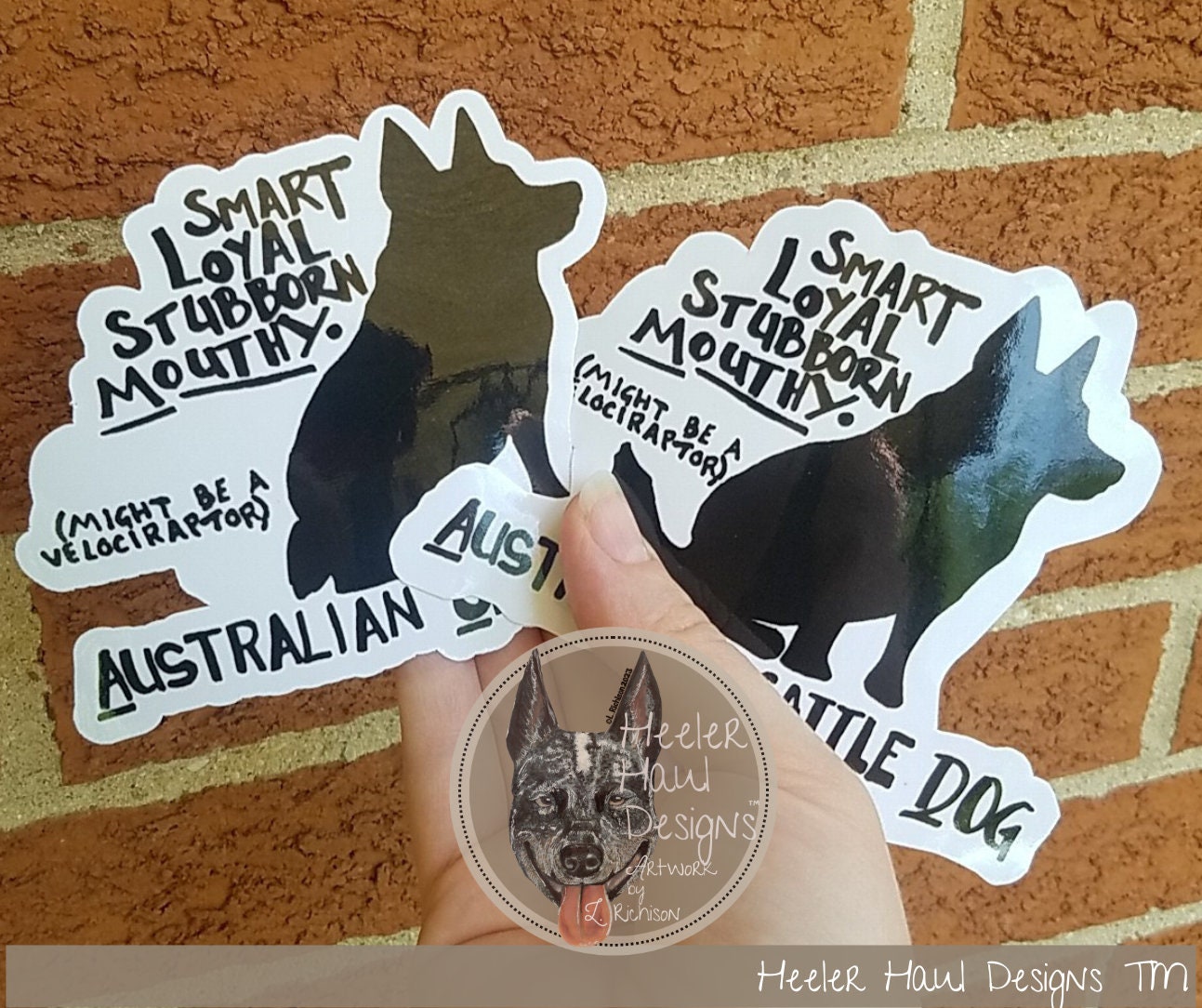 Heeler Decal, Velociraptor Heeler Decal, Australian Cattle Dog Decal ...