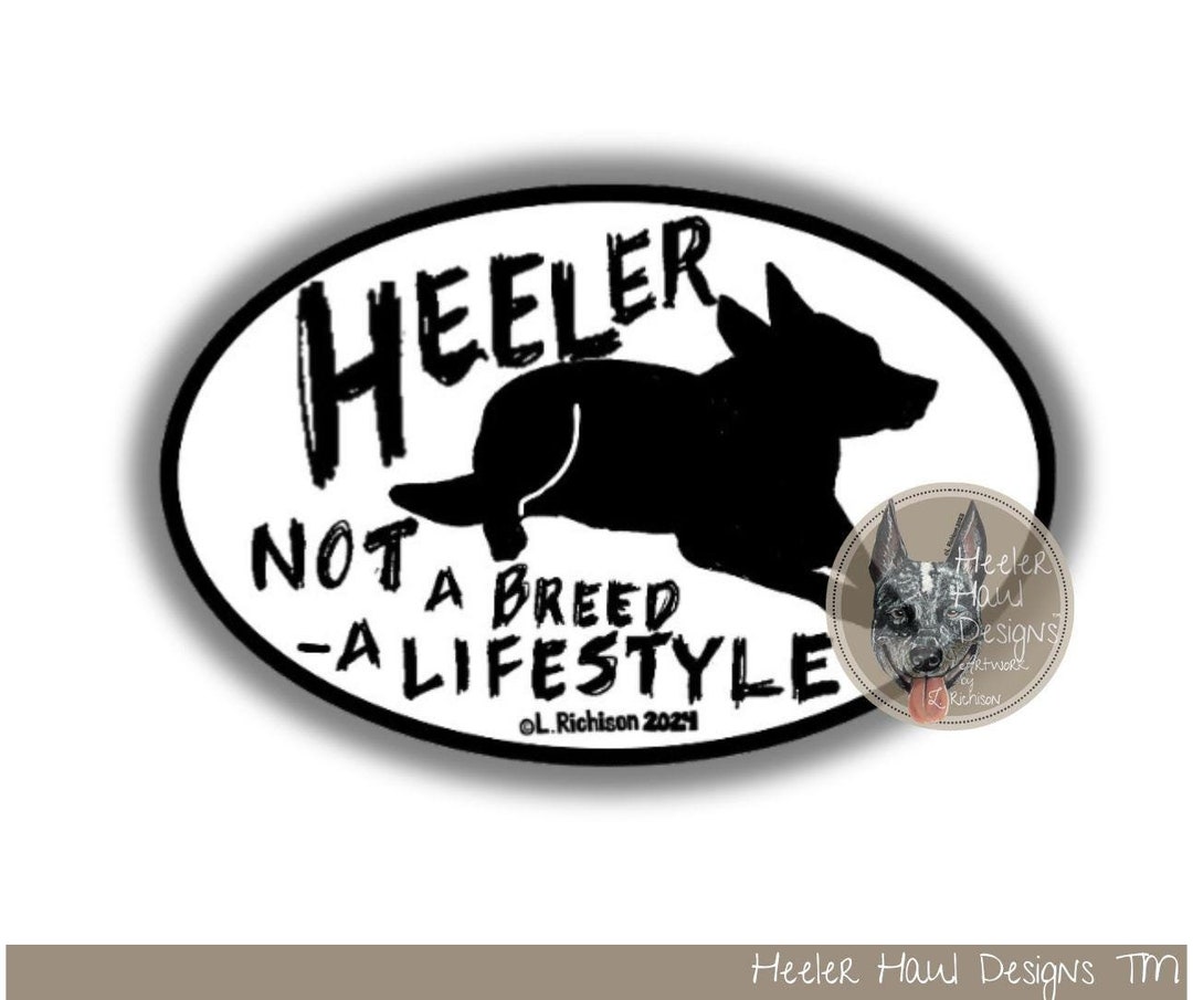 Heeler Decal, Australian Cattle Dog Decal, Blue Heeler Car Decal, Red ...