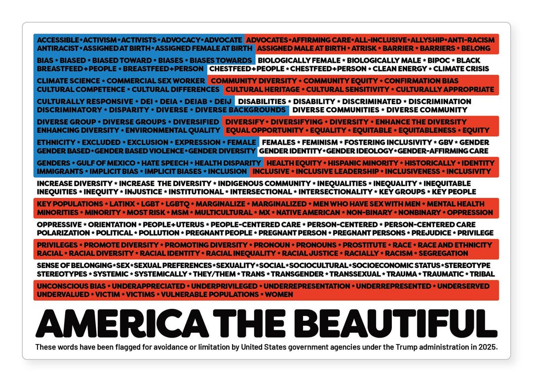 America the Beautiful, Banned Words in the Trump Administration - Etsy