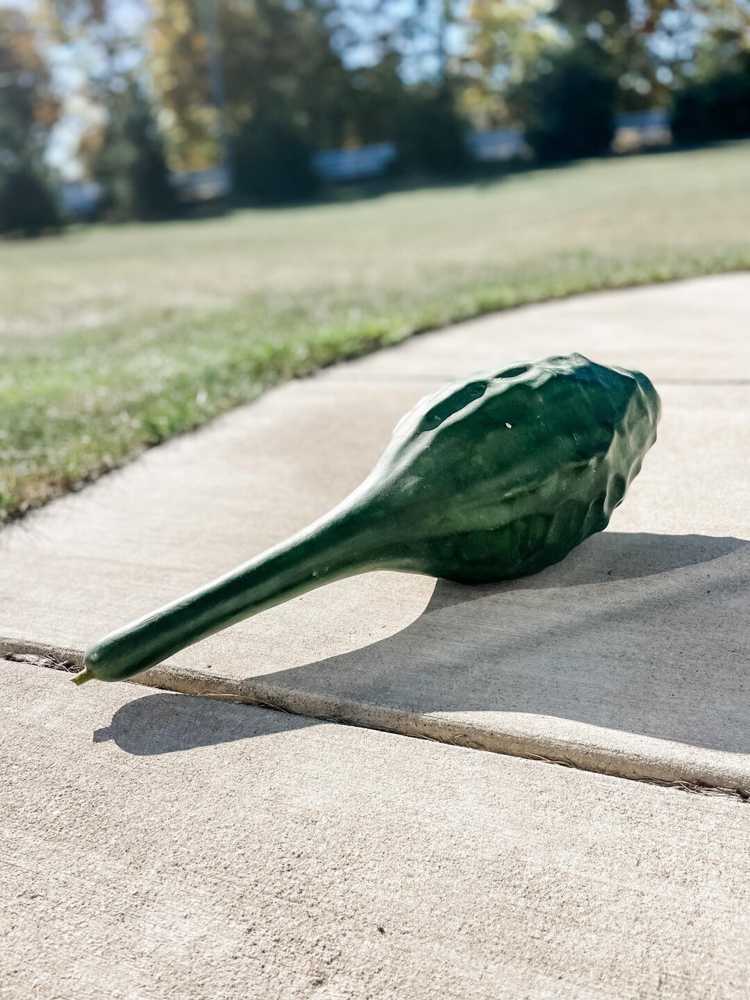 Dinosaur Gourd - Caveman’s Club Gourd - Unique Heirloom Seeds - Etsy