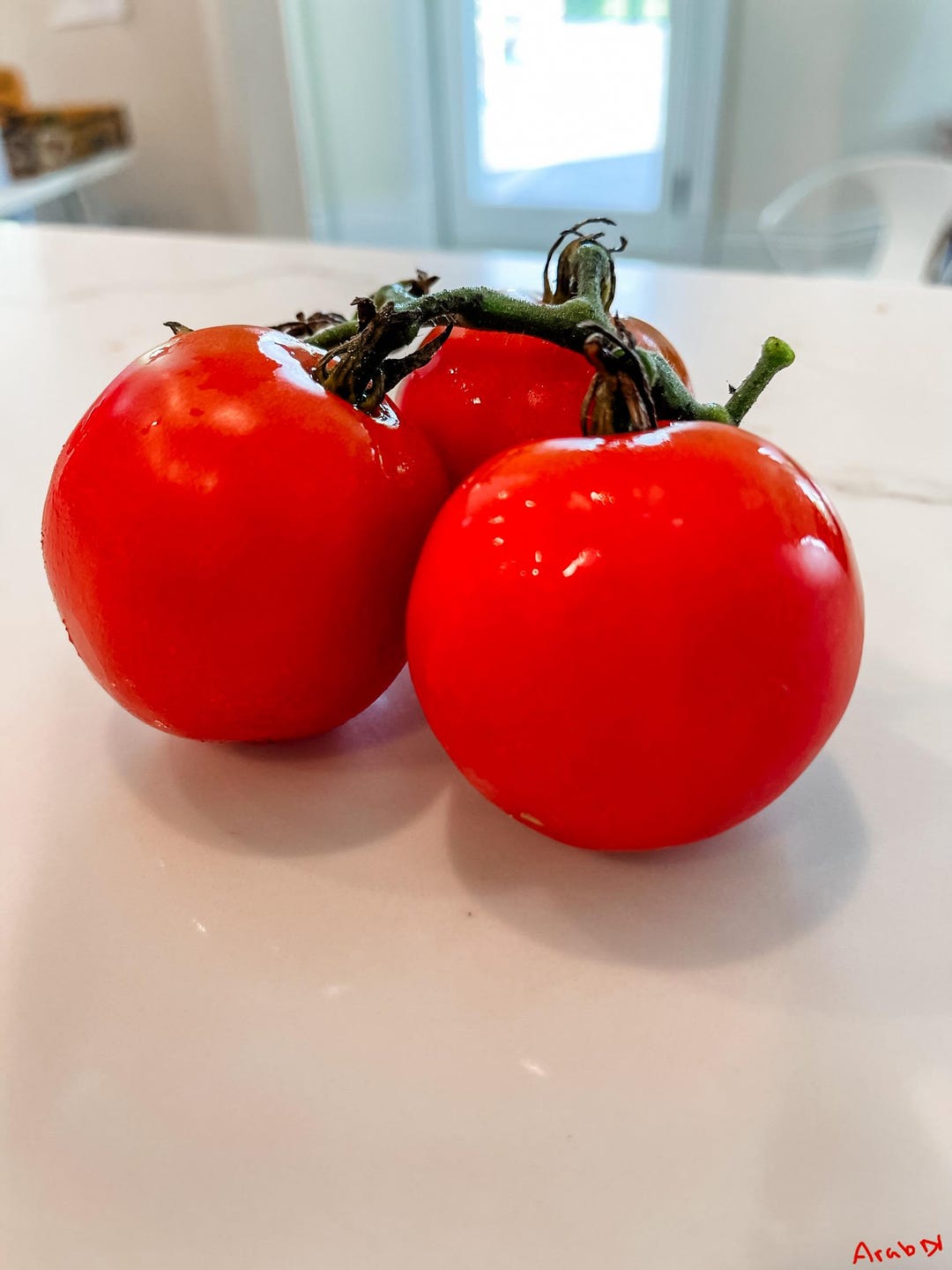 Arab Emirates Tomato (aka Arab Doctor Tomato or United Arab Emirates ...