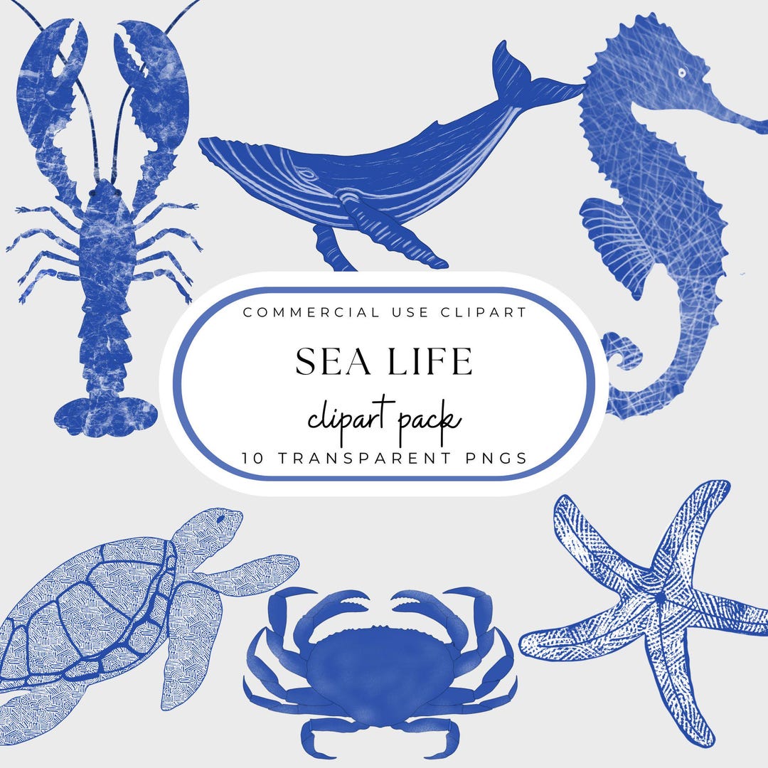 Ocean Life Clipart: Coastal Blue Marine Animals (PNG Digital Download ...