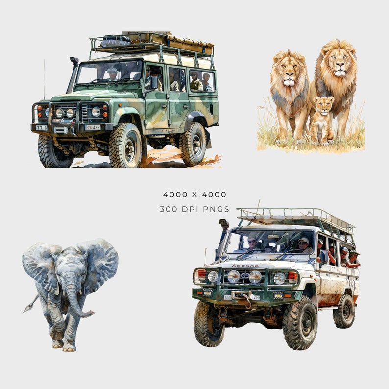 Watercolor Safari Animals Clipart: Lion, Zebra, Elephant (PNG, JPG ...