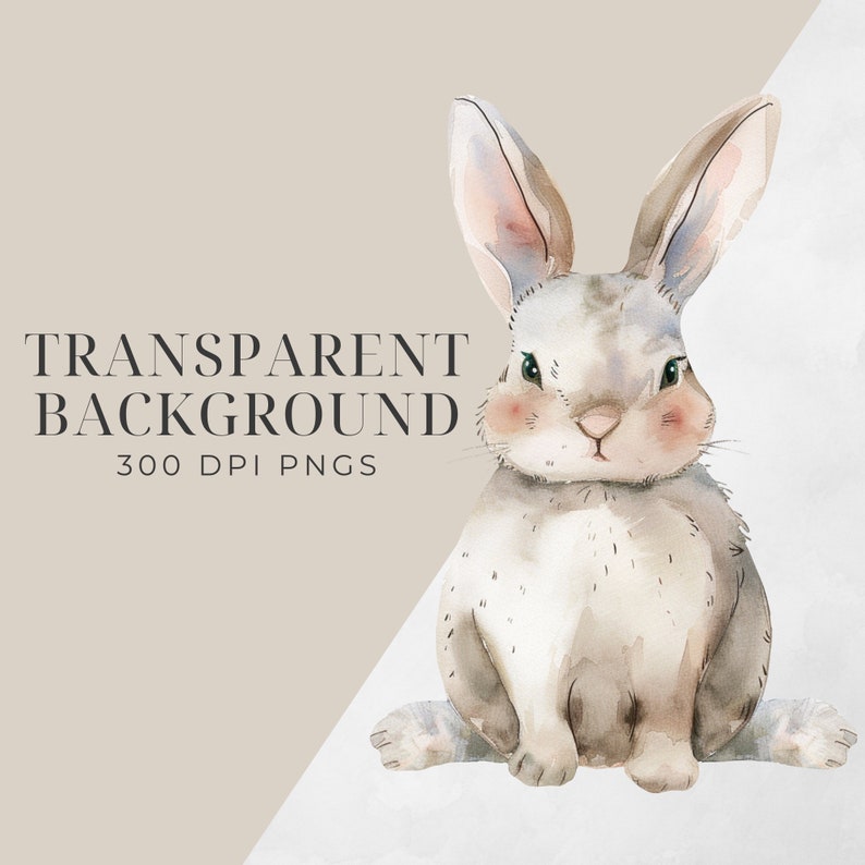 Bunny Clipart, SINGLE IMAGE, Commercial Use, Transparent PNG, Cute ...