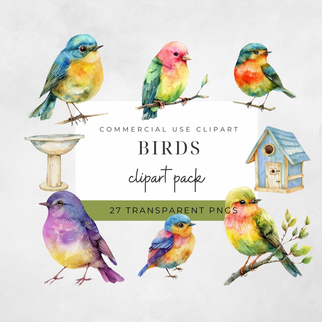 Bird Clipart Bundle, Colorful Watercolor Birds, on Branch, Birdbath and ...