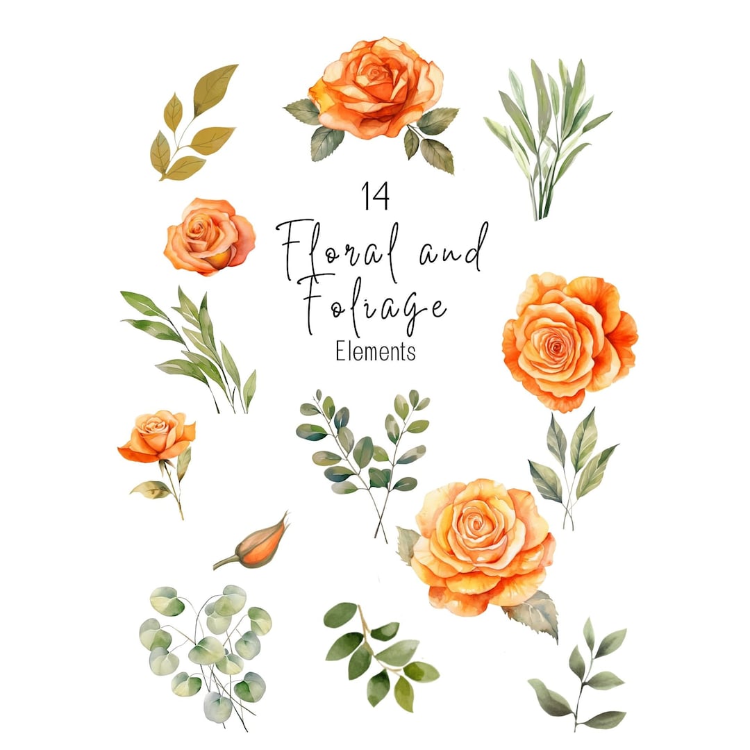 Orange Flower Watercolor Clipart: Floral PNG Set (digital Download) - Etsy
