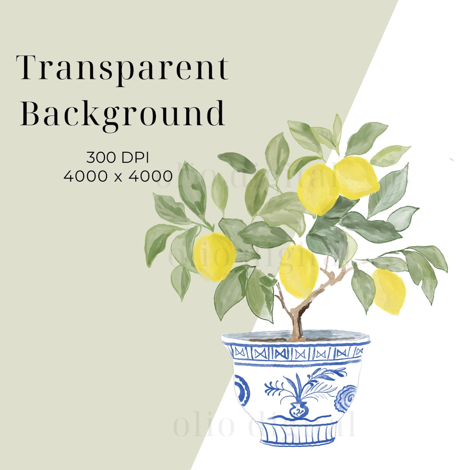 Lemon Tree Topiary PNG, Hand Drawn Watercolor Clipart, Blue and White ...