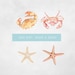 Watercolor Beach Day Clipart: Seaside Vacation Pngs (digital Download ...