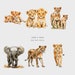 Watercolor Safari Animals Clipart: Lion, Zebra, Elephant (PNG, JPG ...