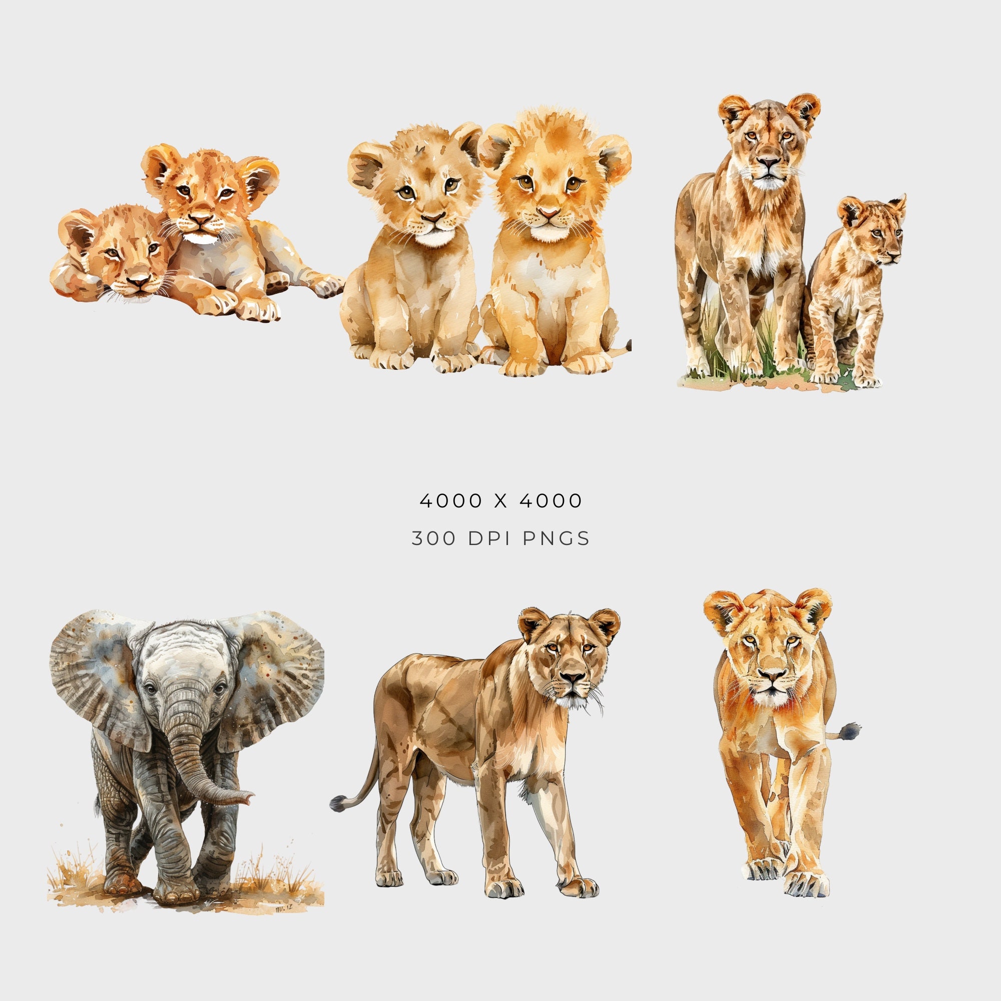 Watercolor Safari Animals Clipart | Safari Pngs | Lion, Elephant, Zebra ...