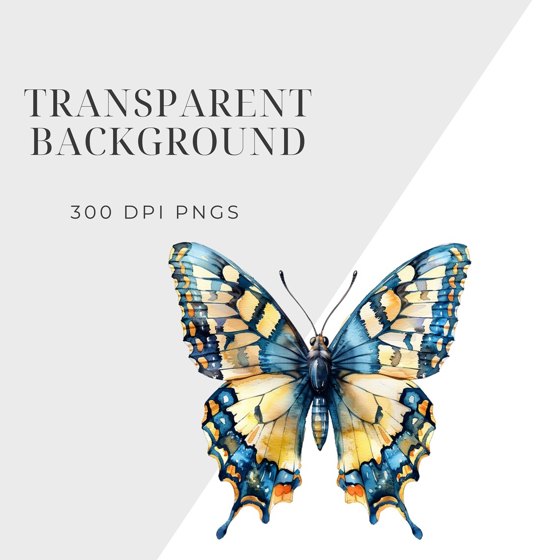 Blue Butterfly Watercolor Clipart: PNG Bundle (digital Download) - Etsy