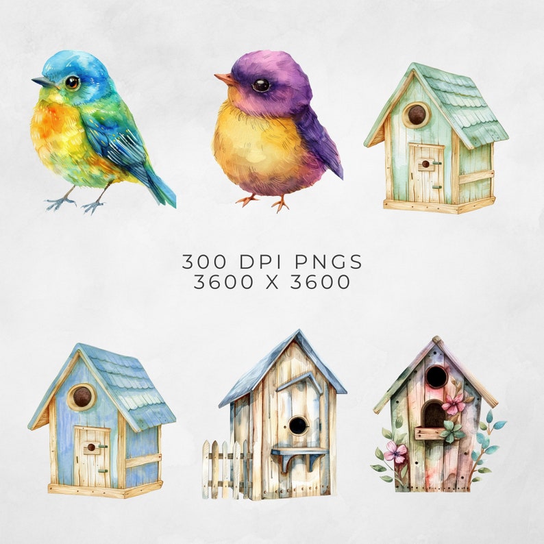 Watercolor Bird Clipart Bundle: Birdbath & Birdhouse (PNG Digital ...