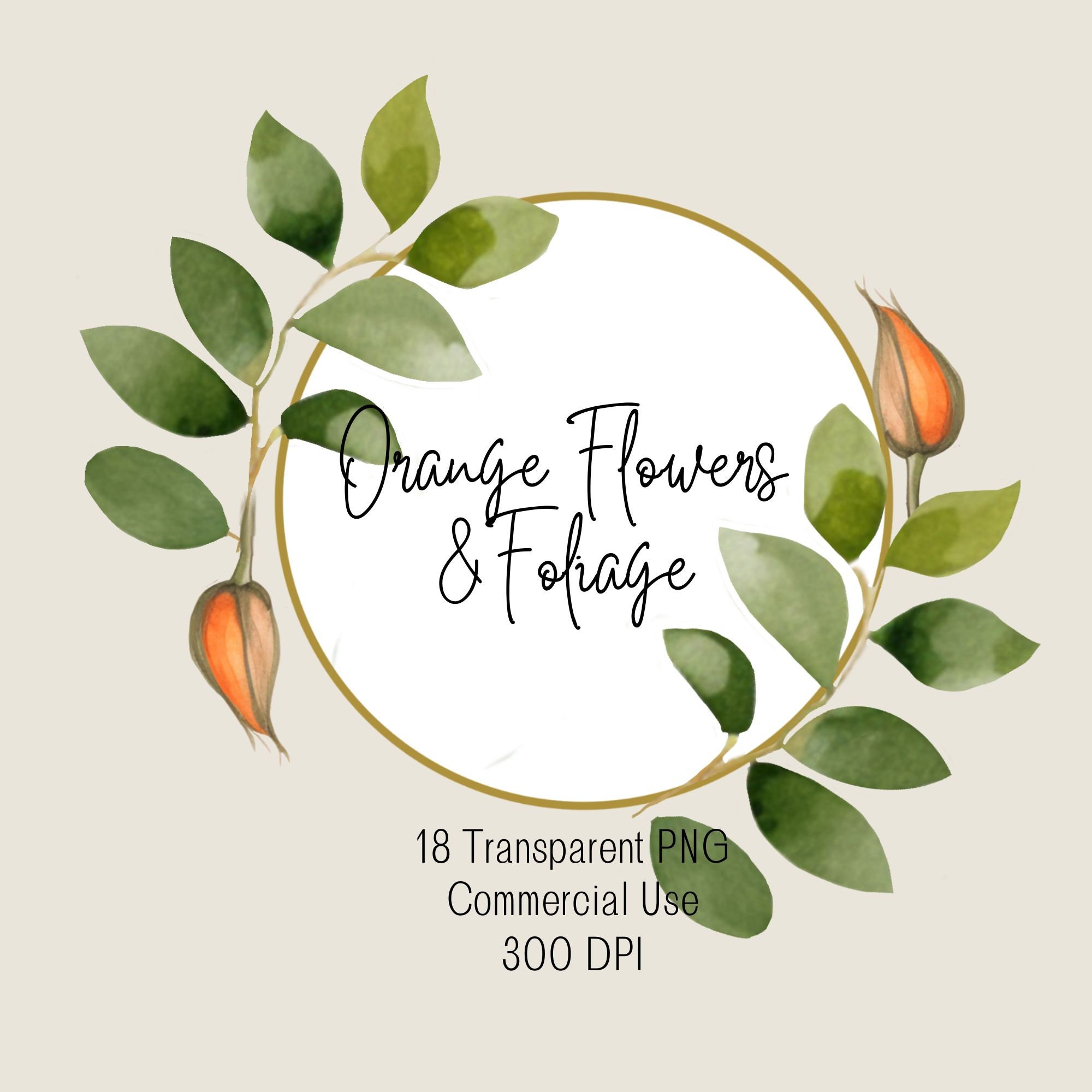 Orange Flower Watercolor Clipart: Floral PNG Set (digital Download) - Etsy