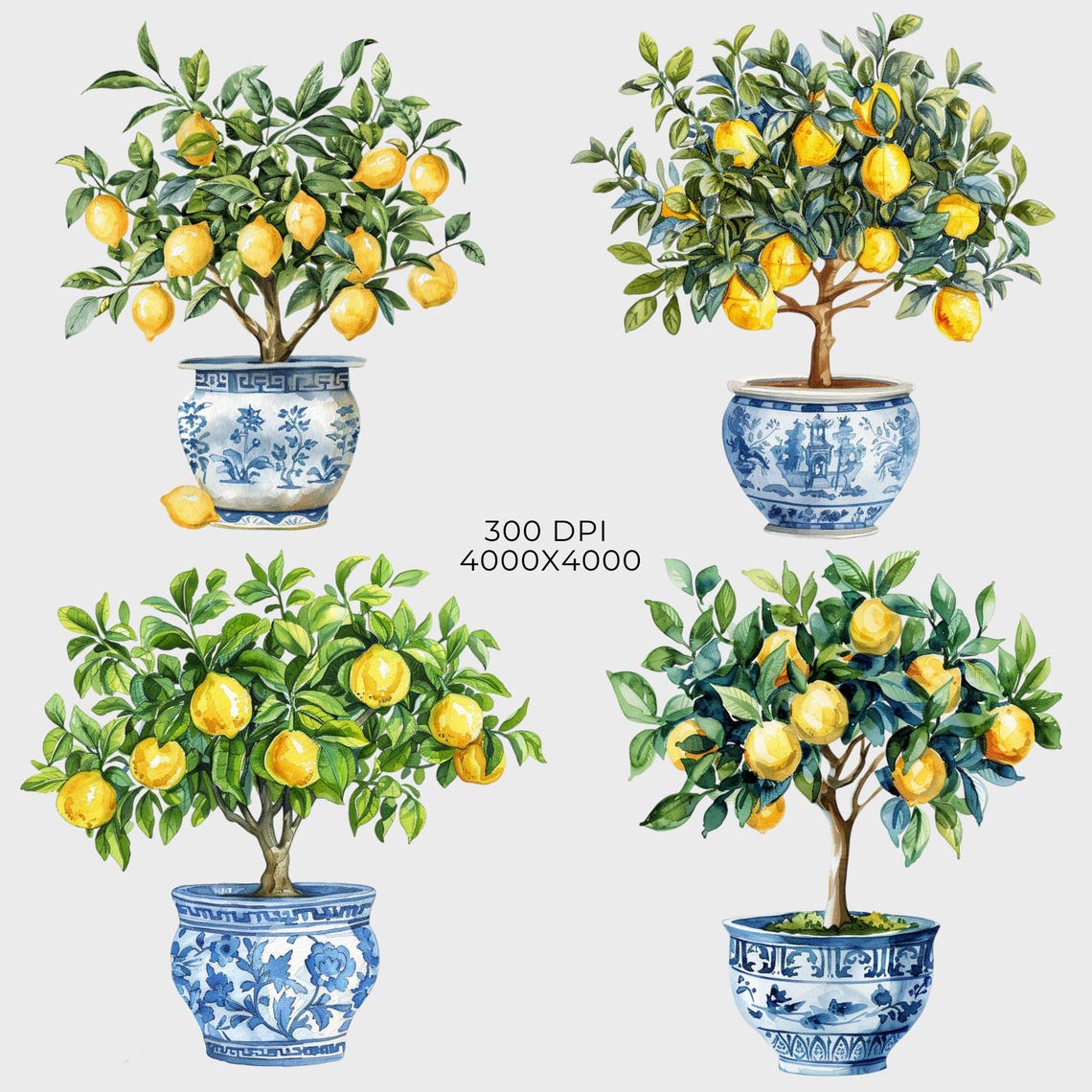 Lemon Tree Topiary PNG, Chinoiserie, Clipart Pack, Blue and White Toile ...