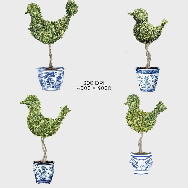 Chinoiserie Bird Topiary Clipart: Blue White Planters (PNG) - Etsy