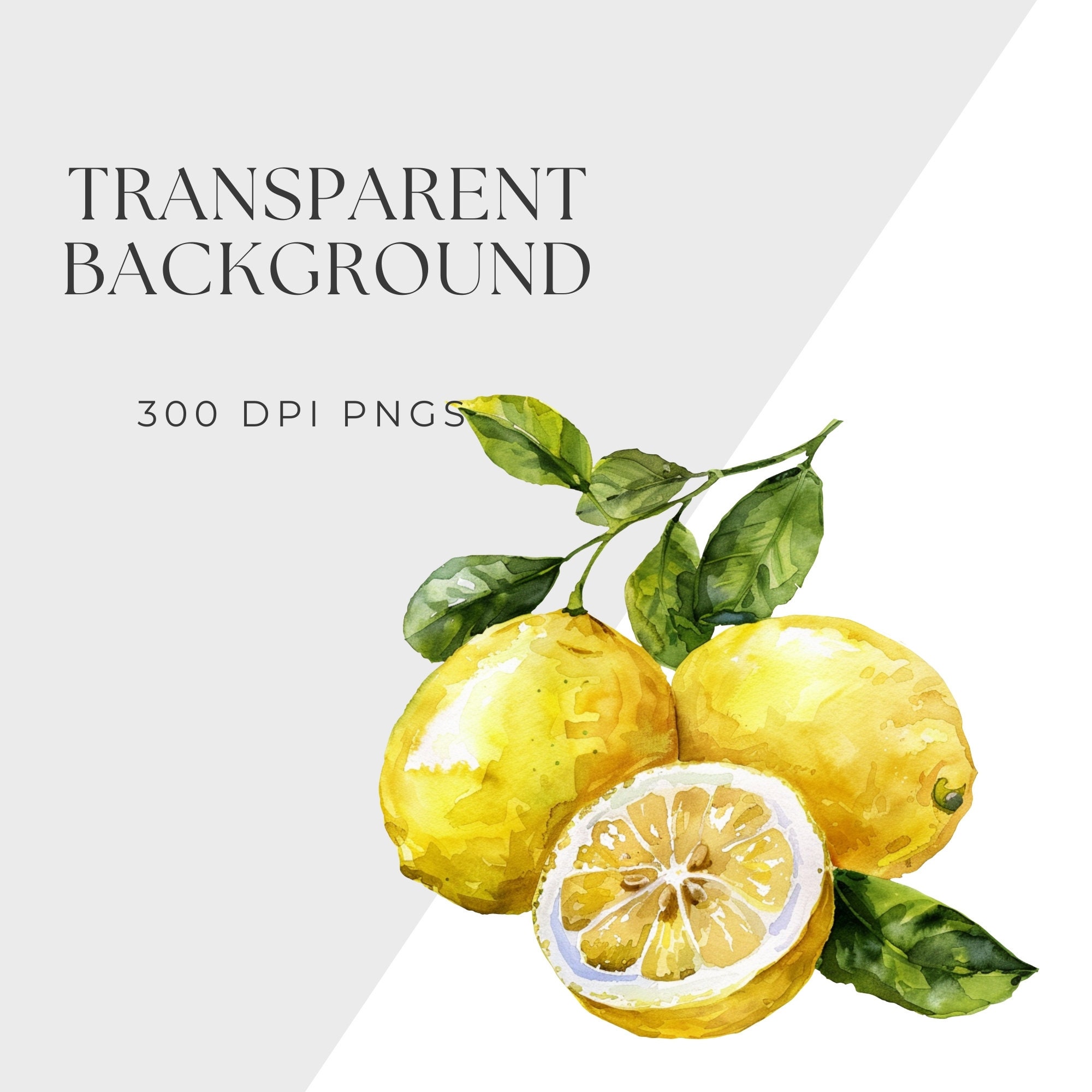 Lemon PNG, Watercolor Clipart, Mediterranean Fruit on Stem With Leaves ...