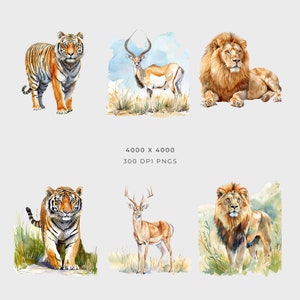 Watercolor Safari Animals Clipart: Lion, Zebra, Elephant (PNG, JPG ...