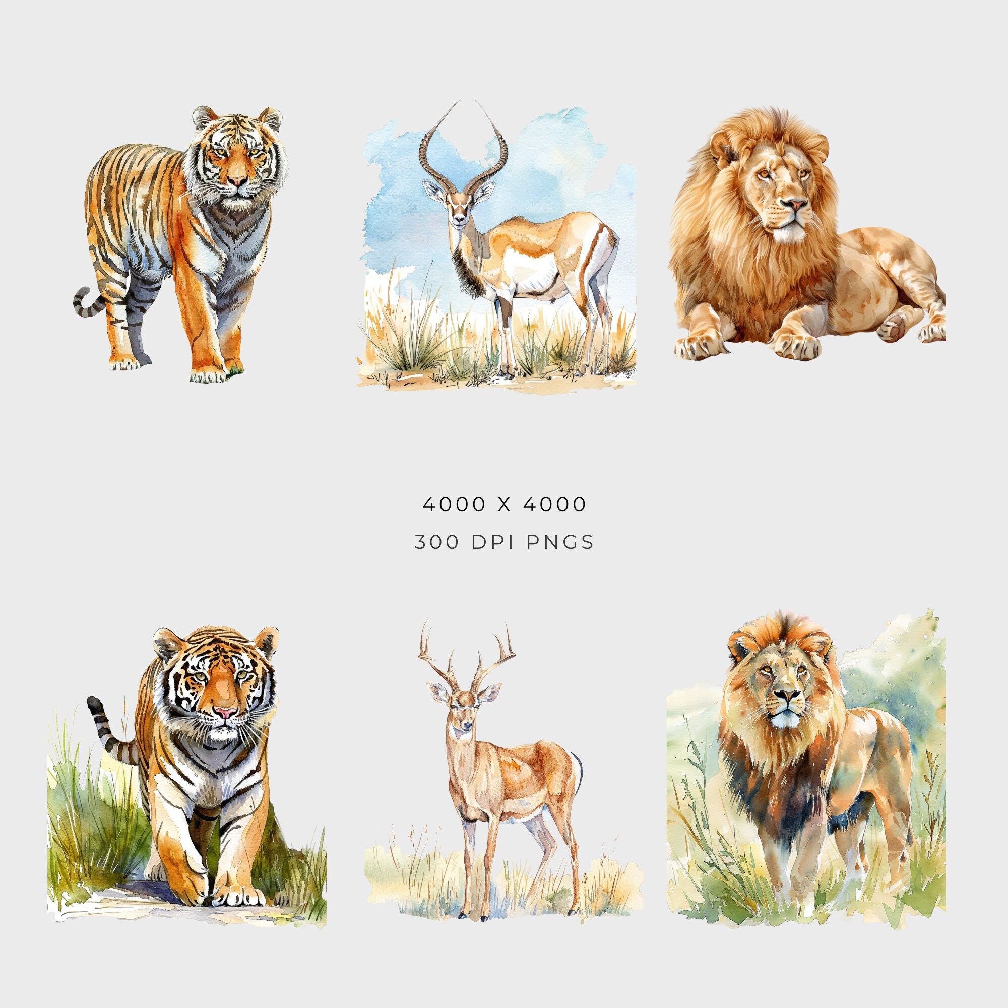 Watercolor Safari Animals Clipart | Safari Pngs | Lion, Elephant, Zebra ...