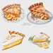 Watercolor Pie Clipart: Fruit Pie Slices PNG Pack (commercial Use) - Etsy