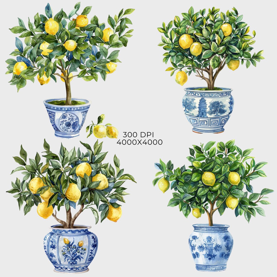 Lemon Tree Topiary PNG, Chinoiserie, Clipart Pack, Blue and White Toile ...