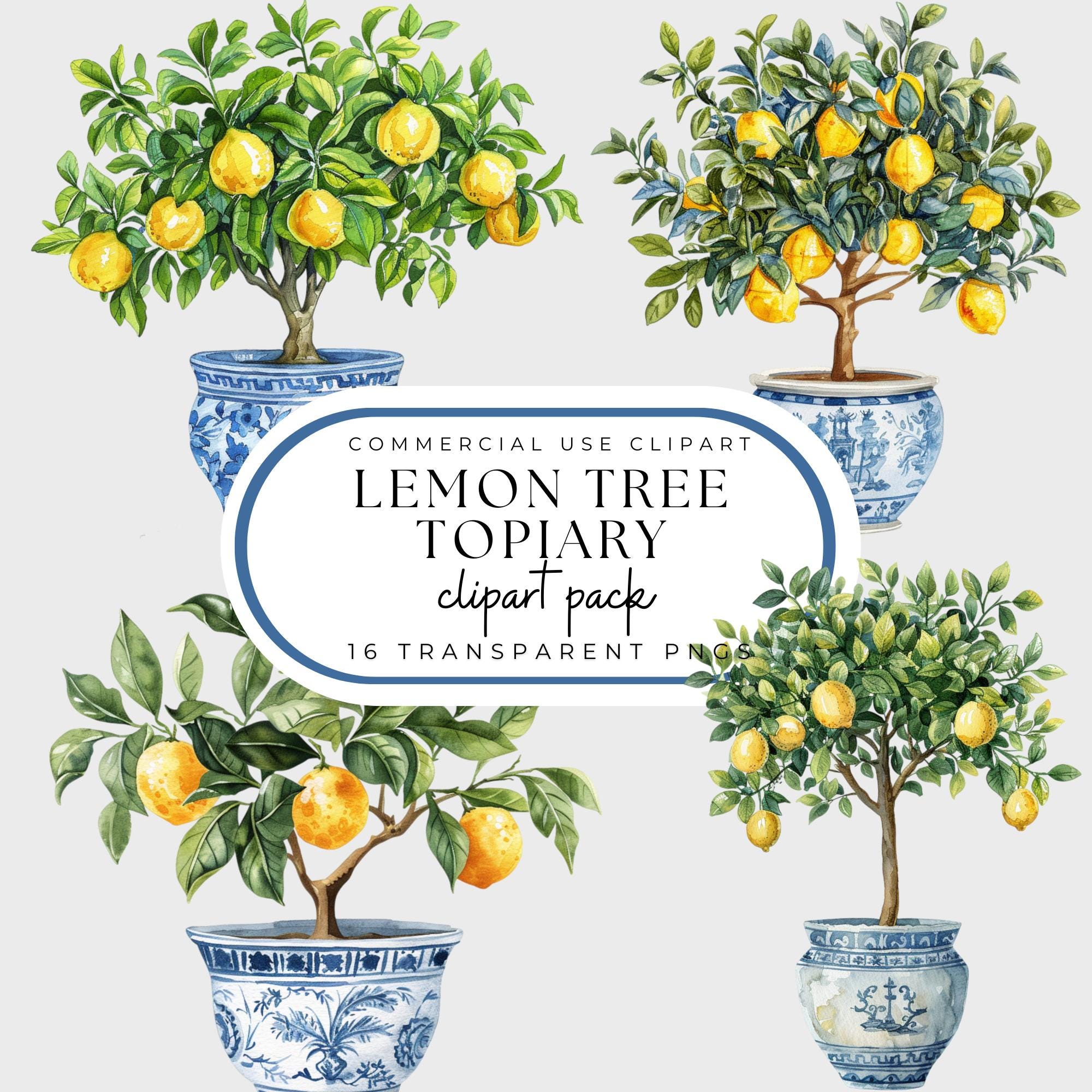 Lemon Tree Topiary PNG, Chinoiserie, Clipart Pack, Blue and White Toile ...