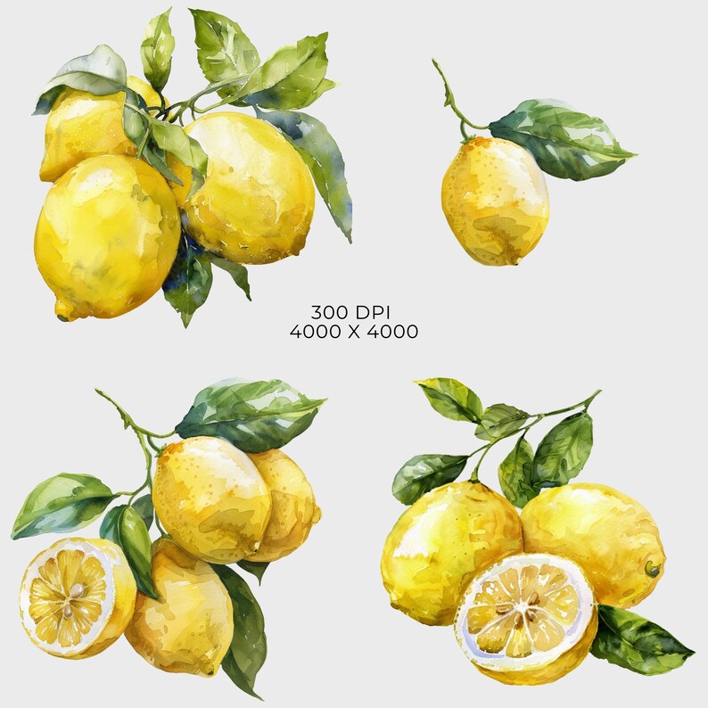 Lemon PNG, Watercolor Clipart, Mediterranean Fruit on Stem With Leaves ...