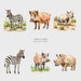 Watercolor Safari Animals Clipart: Lion, Zebra, Elephant (PNG, JPG ...