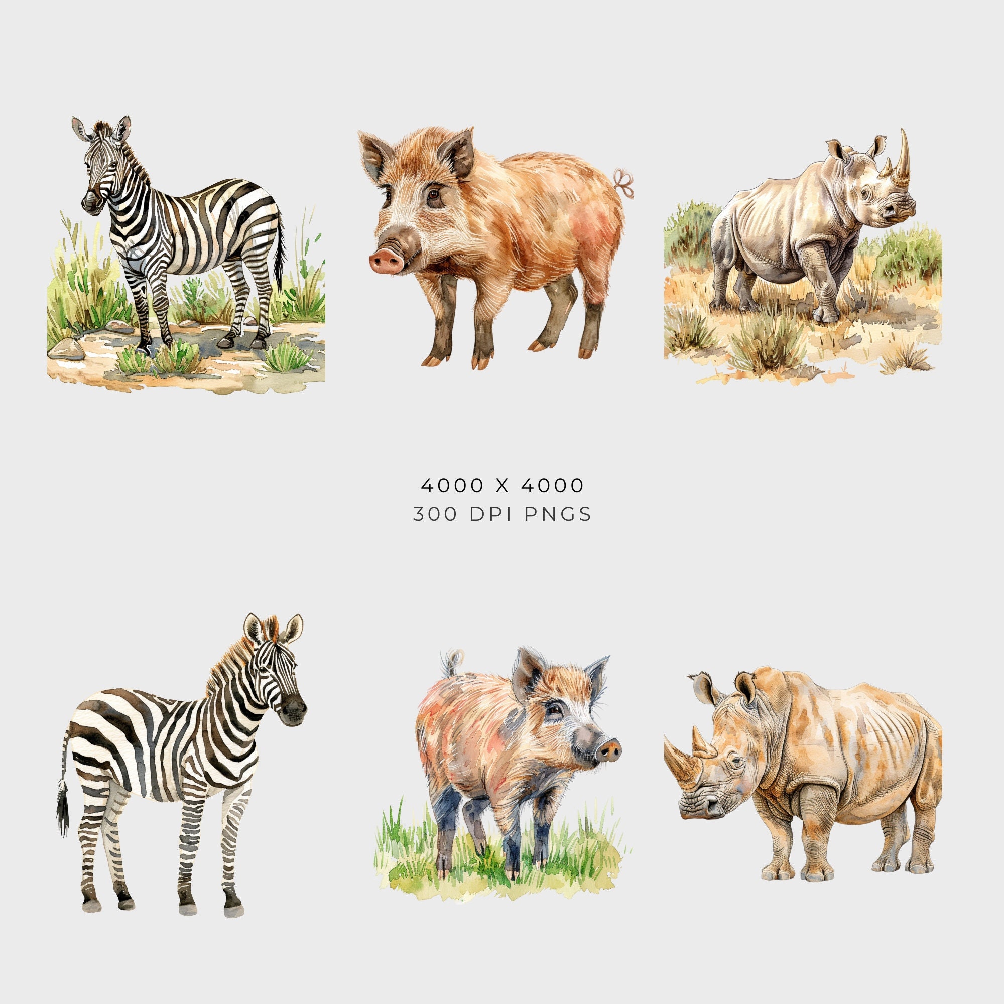 Watercolor Safari Animals Clipart | Safari Pngs | Lion, Elephant, Zebra ...